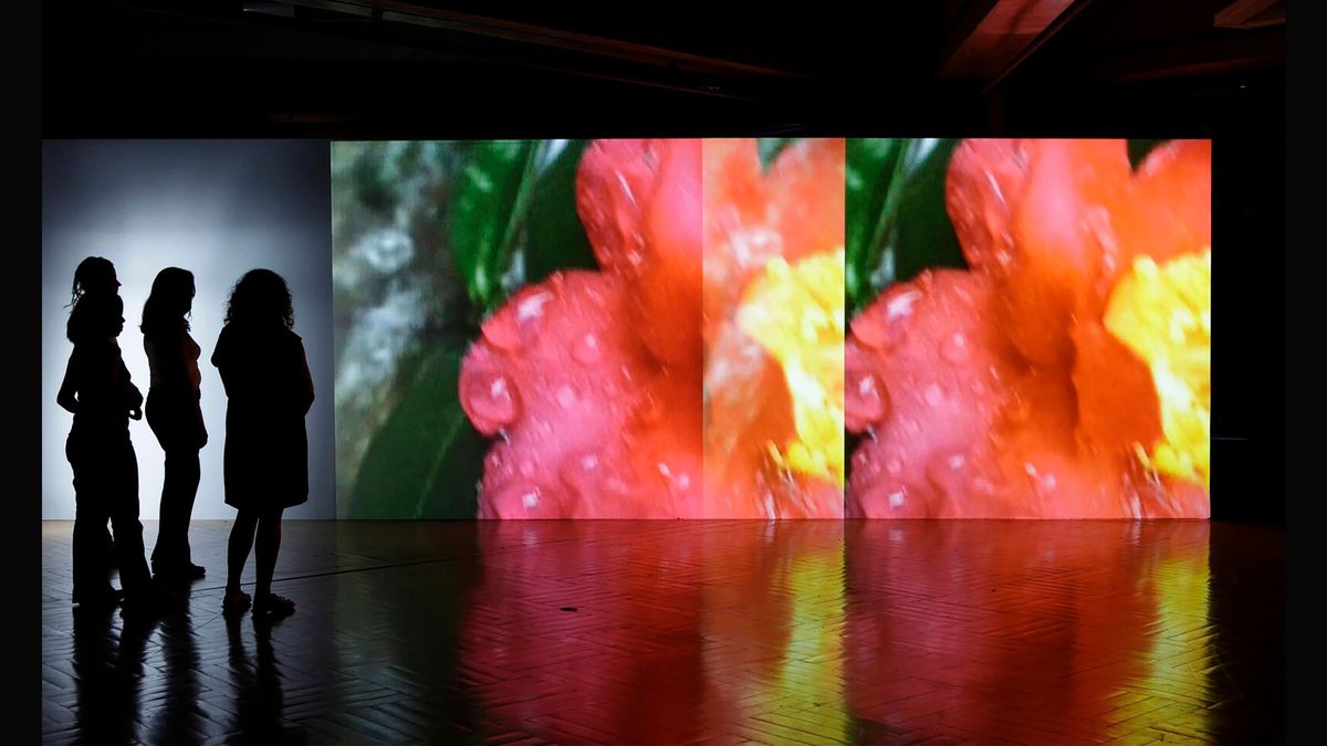 Pipilotti Rist, 'Supersubjektiv' at Museum of Contemporary Art Chicago ...