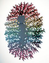 Jen Stark's Art For Sale, Exhibitions & Biography | Ocula Artist