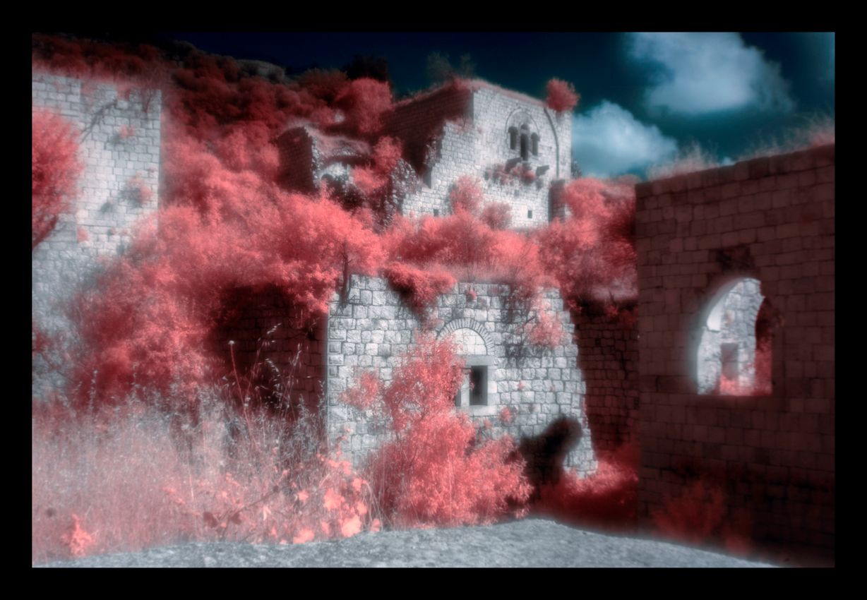 Rula Halawani's Art For Sale, Exhibitions & Biography | Ocula Artist