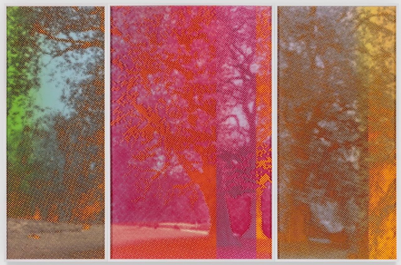 Paul Rusconi's Art For Sale, Exhibitions & Biography | Ocula Artist