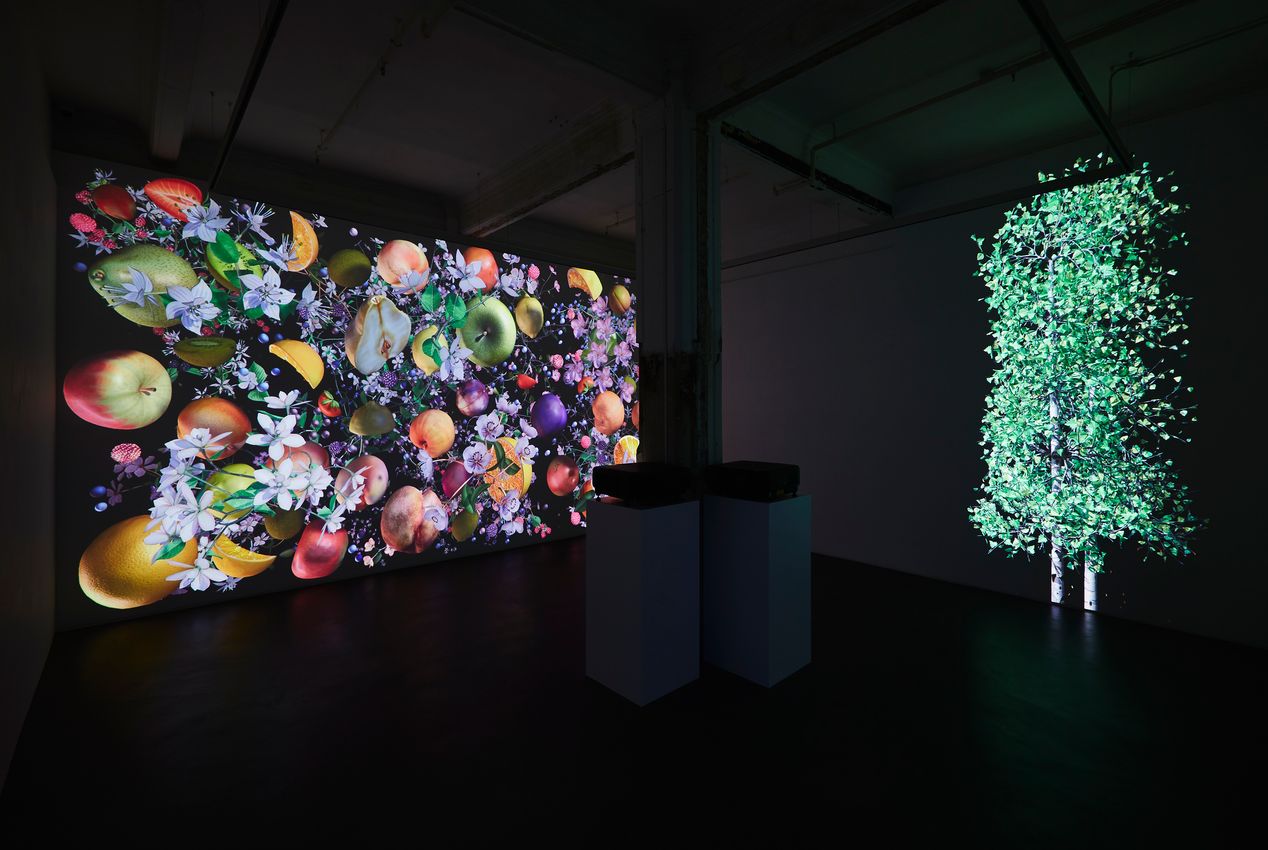 Jennifer Steinkamp, 'Still-Life' at Lehmann Maupin, Hong Kong on 19 Sep ...