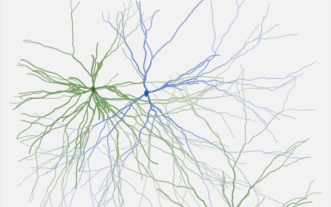 Maya Lin, 'Ghost Forest Seedlings' at Pace Gallery, 540 West 25th ...