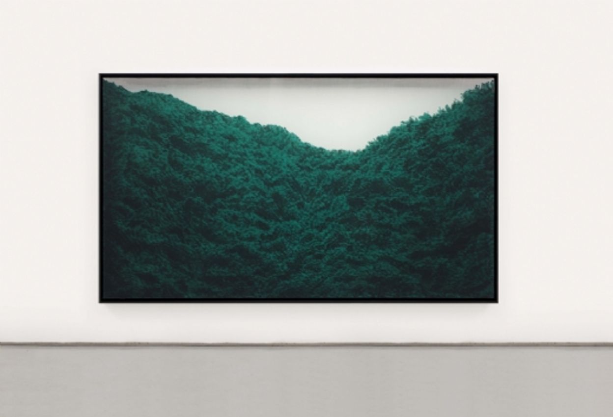 Xie Fan's Art For Sale, Exhibitions & Biography | Ocula Artist