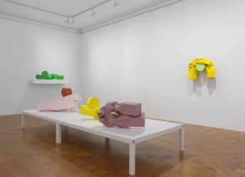 Carol Bove's Art For Sale, Exhibitions & Biography | Ocula Artist
