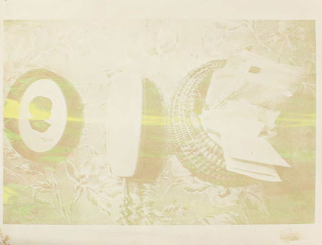 TR Ericsson's Art For Sale, Exhibitions & Biography | Ocula Artist