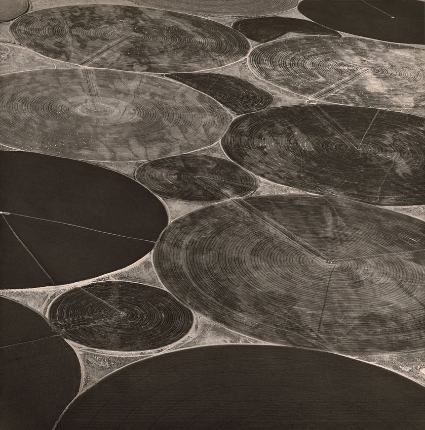 Emmet Gowin's Art For Sale, Exhibitions & Biography | Ocula Artist