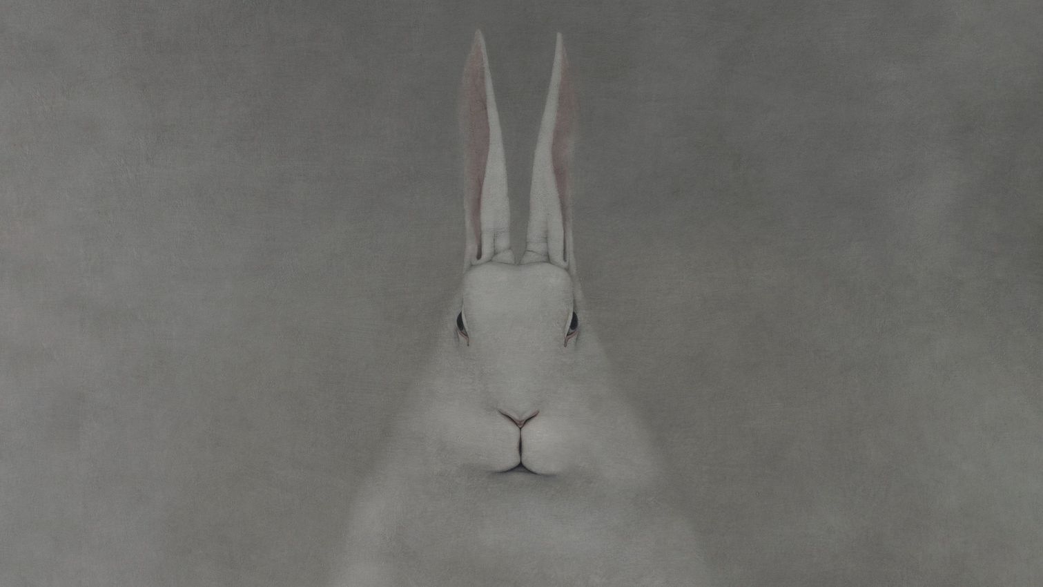 Fan Shao's Art For Sale, Exhibitions & Biography | Ocula Artist