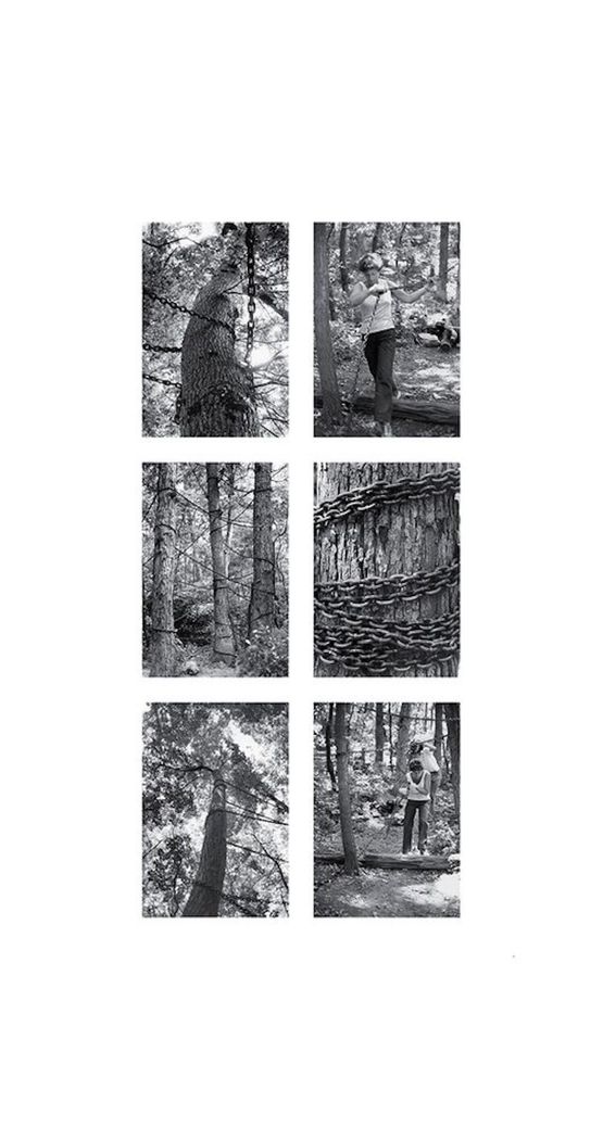 Rice/Tree/Burial: Chaining the Sacred Forest, 1977/2020 by Agnes Denes ...