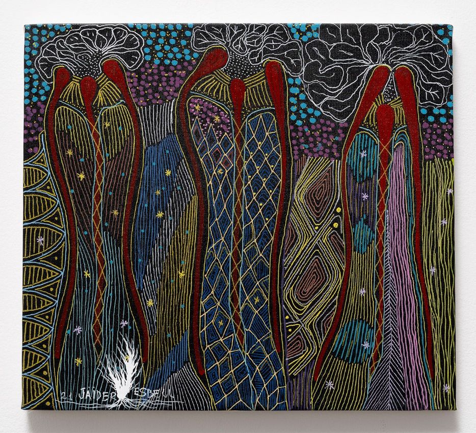 Jaider Esbell's Art For Sale, Exhibitions & Biography | Ocula Artist