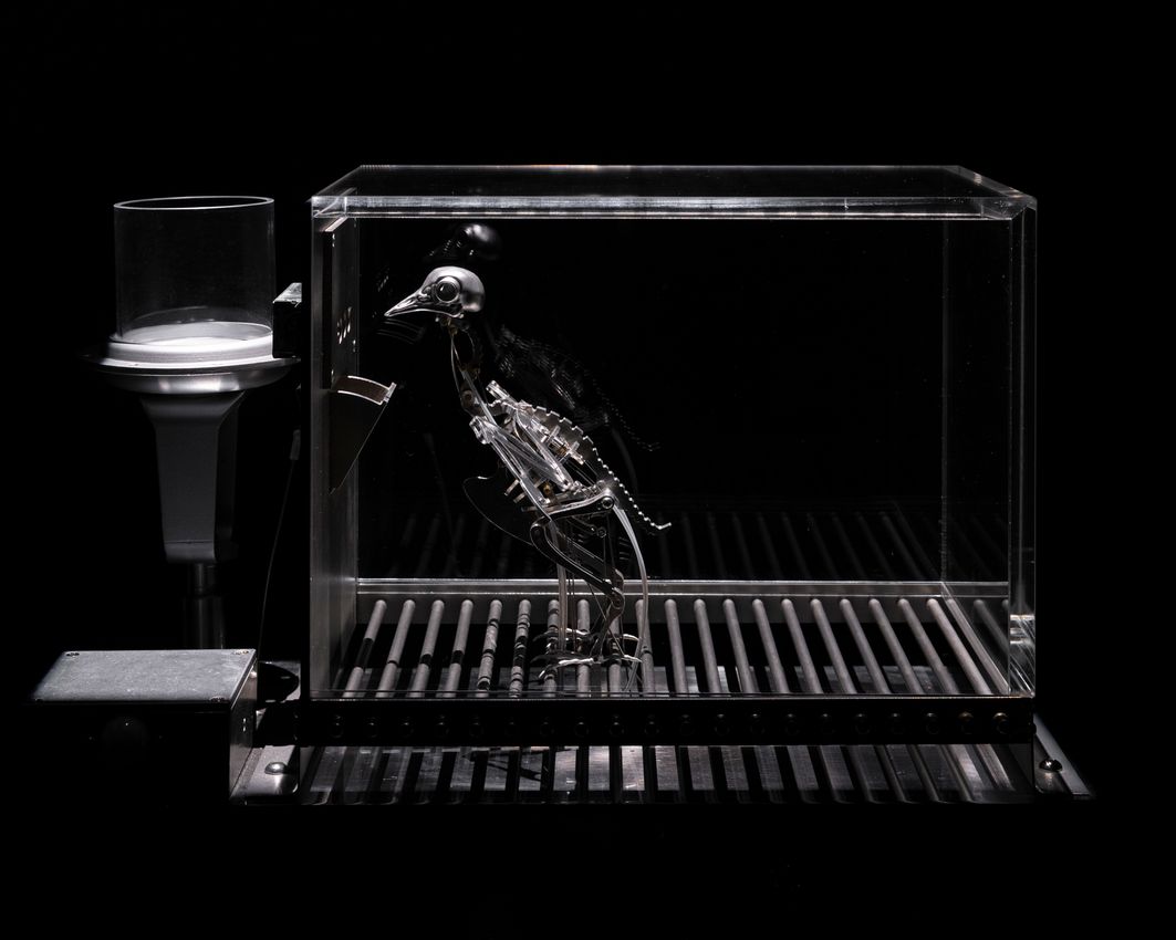 Mat Collishaw, 'Mat Collishaw. The Machine Zone' at Gary Tatintsian Gallery, Dubai, United Arab ...