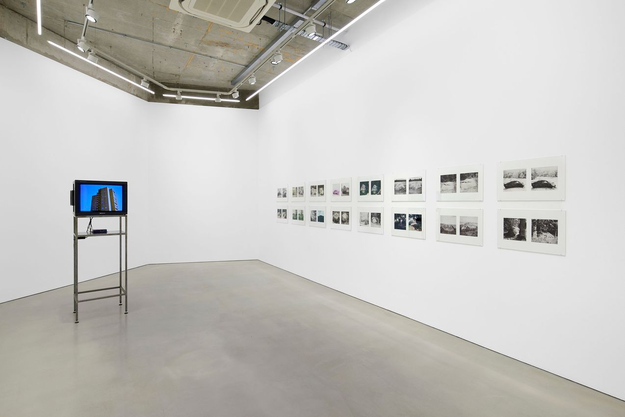Deimantas Narkevičius, 'The Fifer' at Maureen Paley, London, United ...